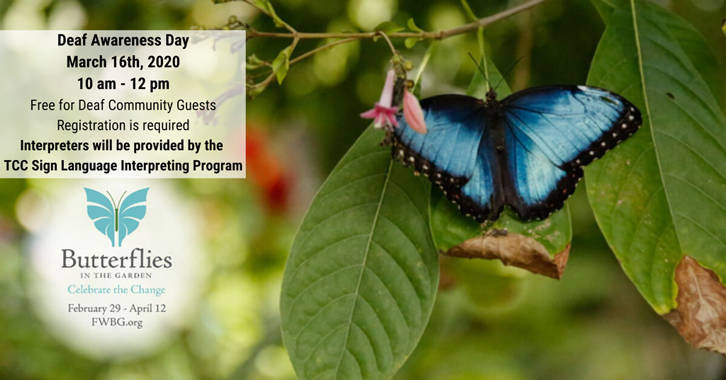 Butterflies in the Garden: Deaf Awareness Day 3/16/20 – DFW – Deaf ...